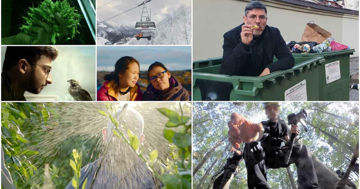 Gamtos fotografas Marius Čepulis apie „Nepatogaus kino“ Žaliąją ...